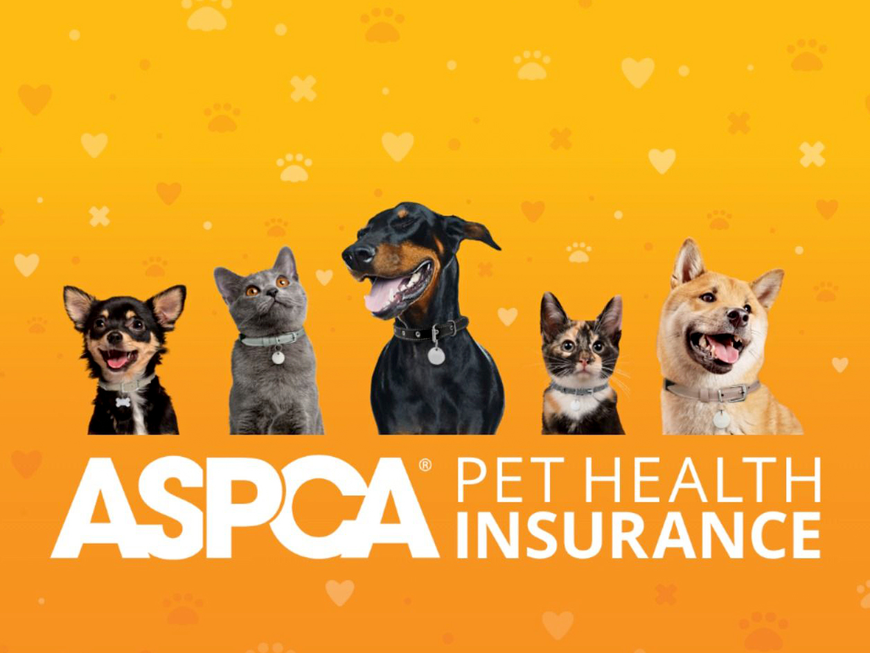 Glick Insurance Agency | Pet insurance